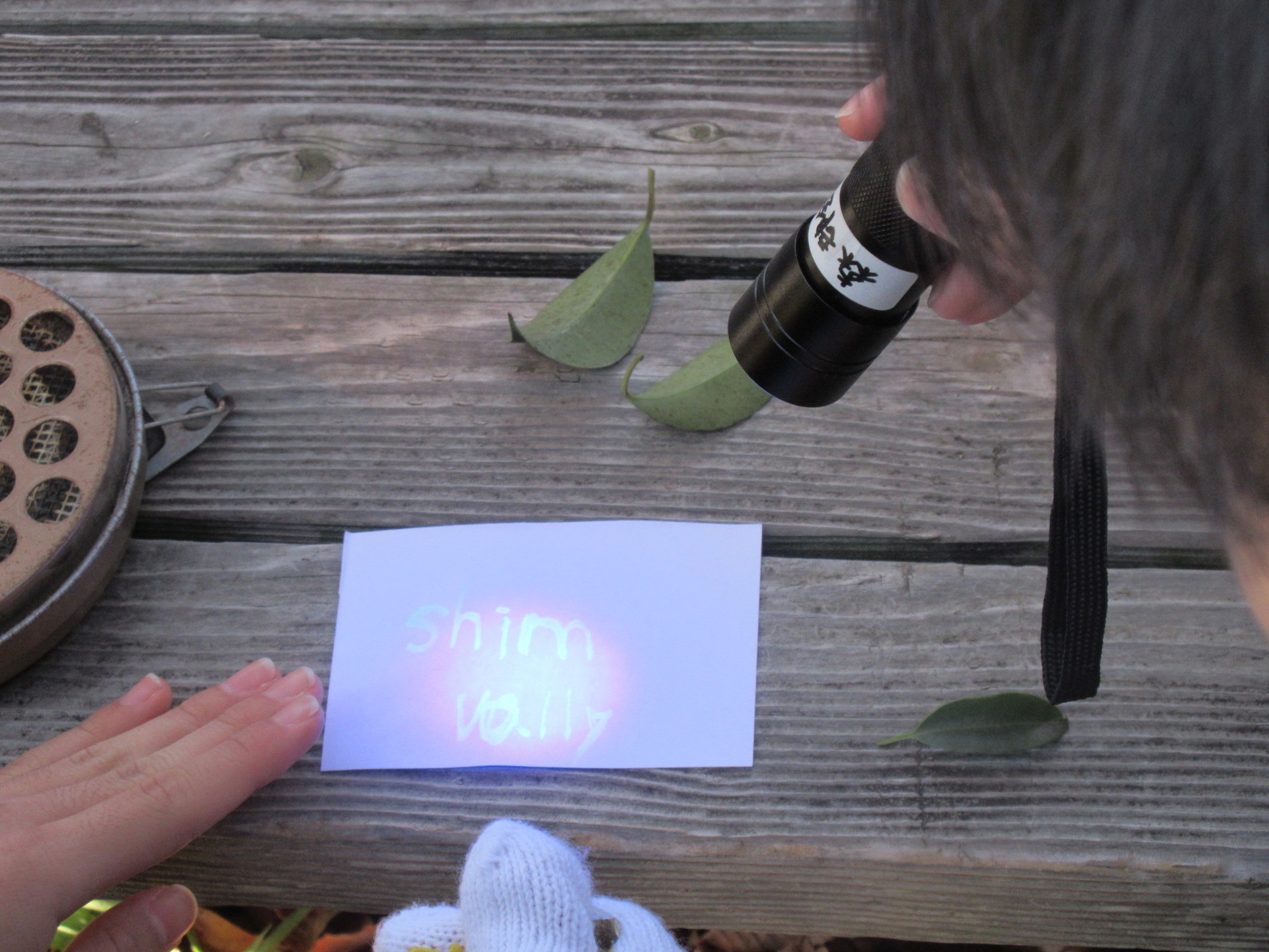 尼崎北高校環境学習！: 尼緑スタッフブログ